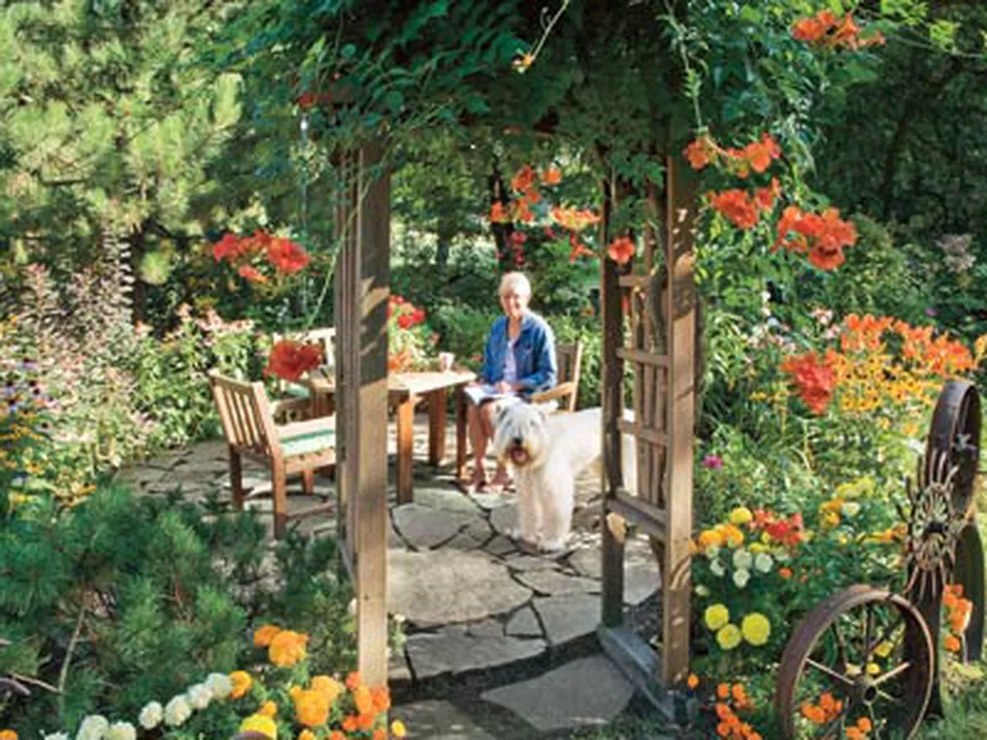 Hoe maak je een prachtige tuin met bomen en planten • De Tuinkampioen