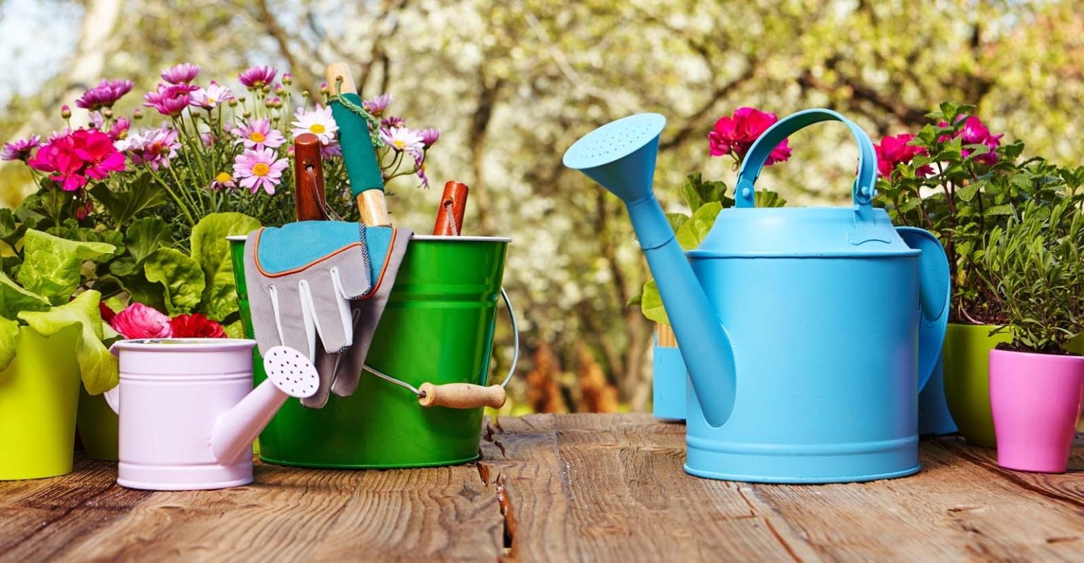 Tuincentrum Van Cranenbroek: Dé Specialist voor Tuin, Buitenleven en ...